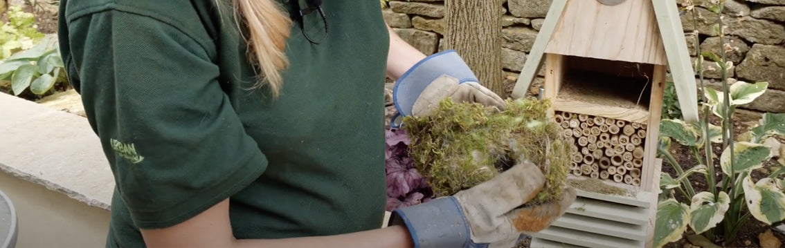 How To Care For Your Nest Box | The Wildlife Community Blog