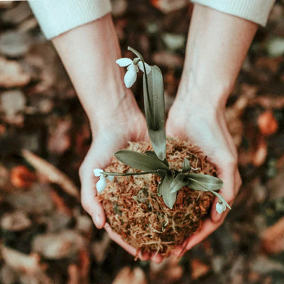 WHM Pet Group | The Wildlife Community