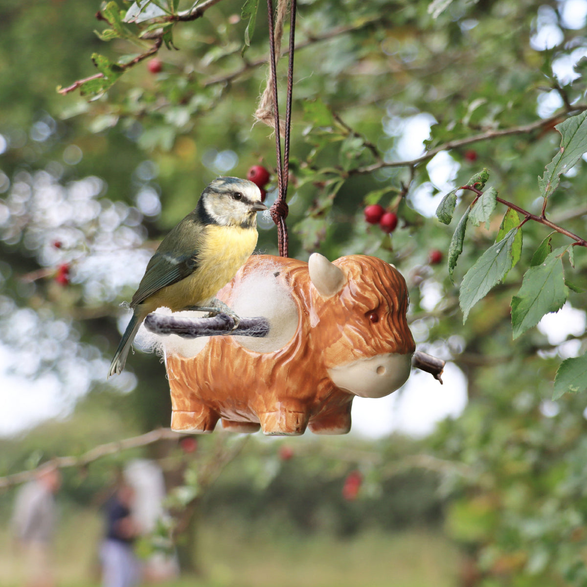 Hanging Ceramic Highland Cow With Nesting Wool | The Wildlife Community