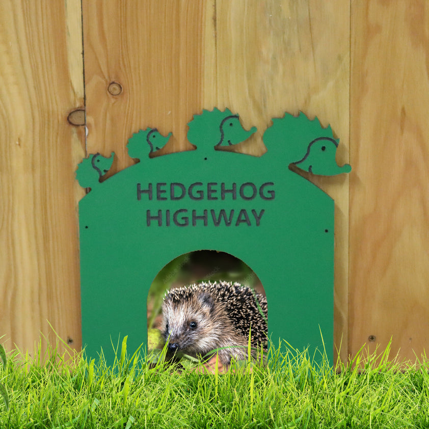 Hedgehog Crossing | The Wildlife Community