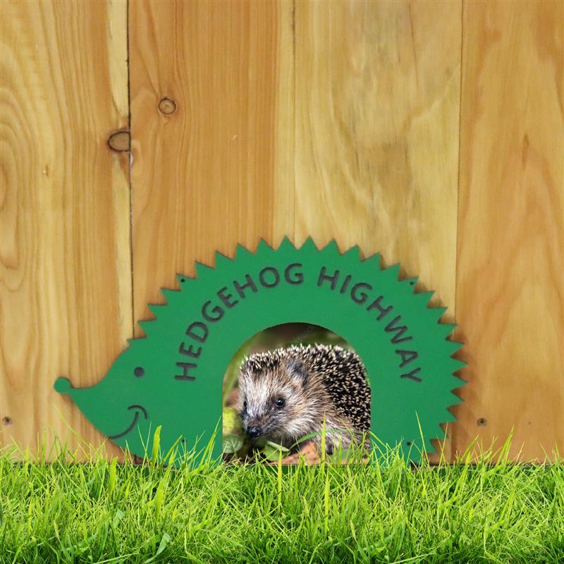 Hedgehog Crossing | The Wildlife Community