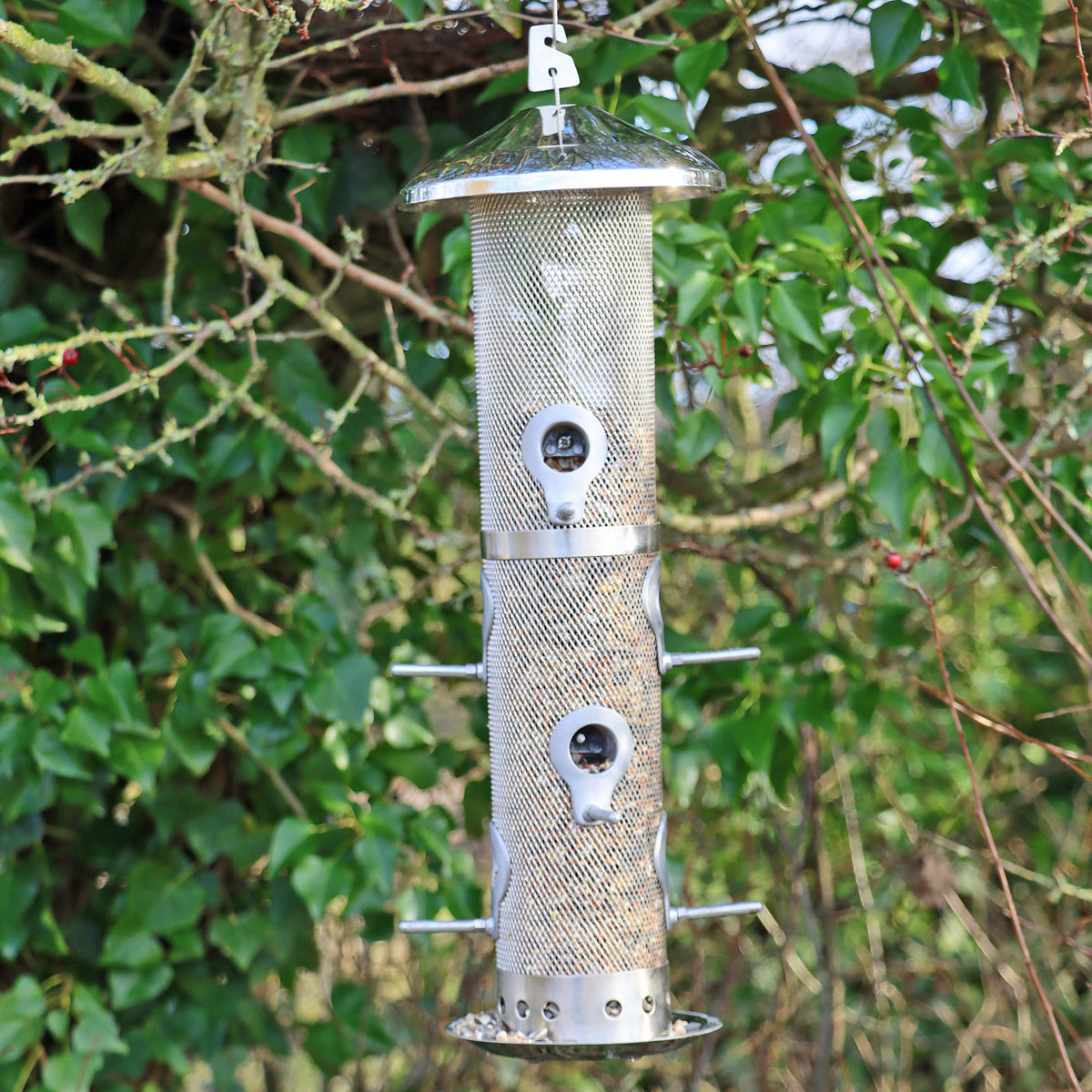 Stainless Steel Large Bird Feeder