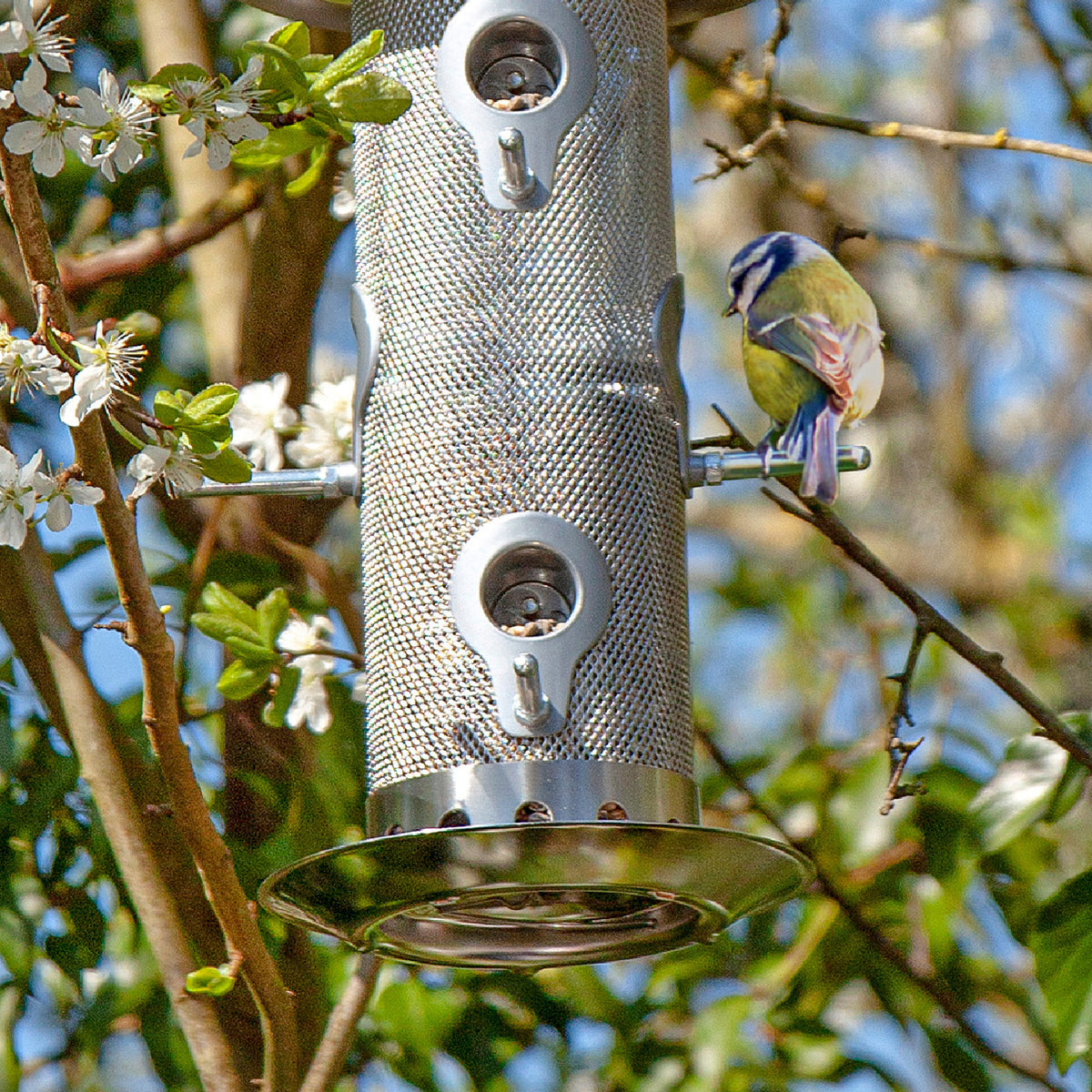 Stainless Steel Large Bird Feeder