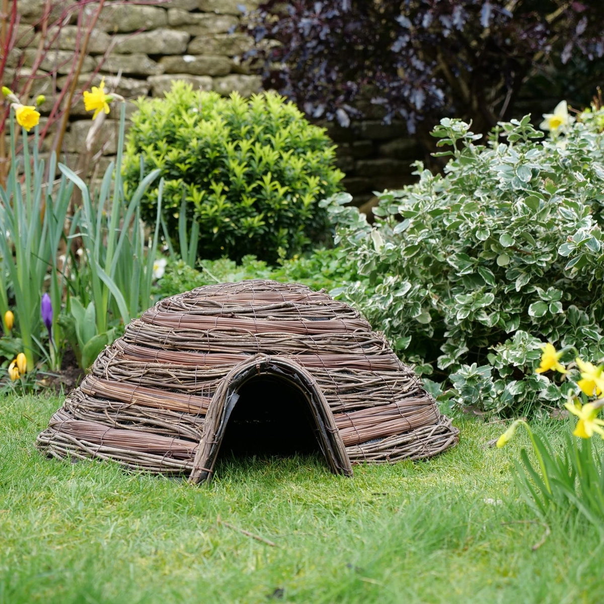 Hedgehog Dome Home | The Wildlife Community
