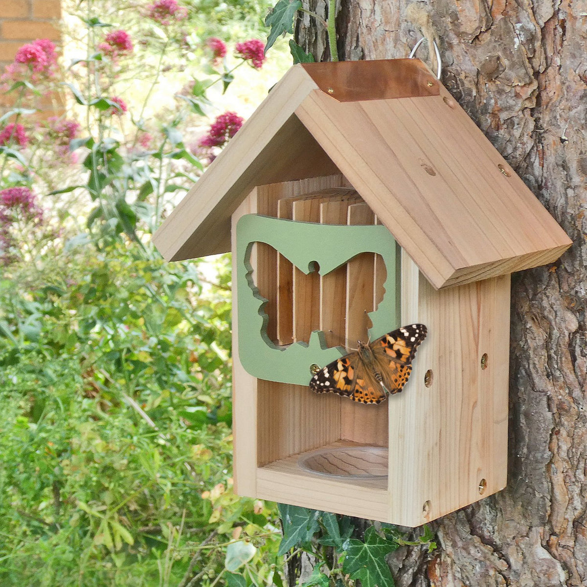 Butterfly Barn | The Wildlife Community
