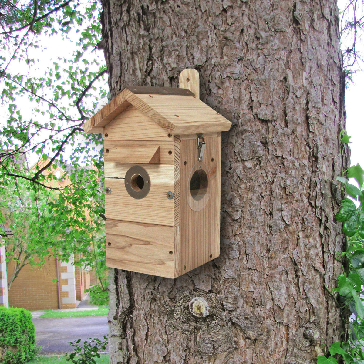 Deluxe Camera Nest Box with WIFI Camera included