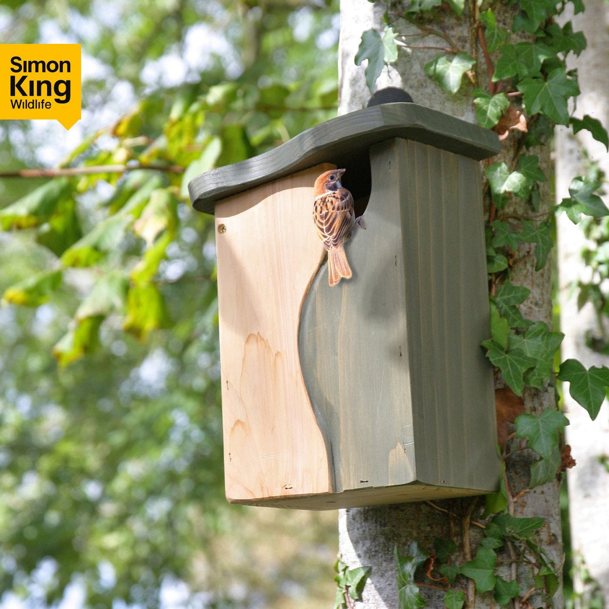 Curve, Cavity Nest Box by Simon King | The Wildlife Community