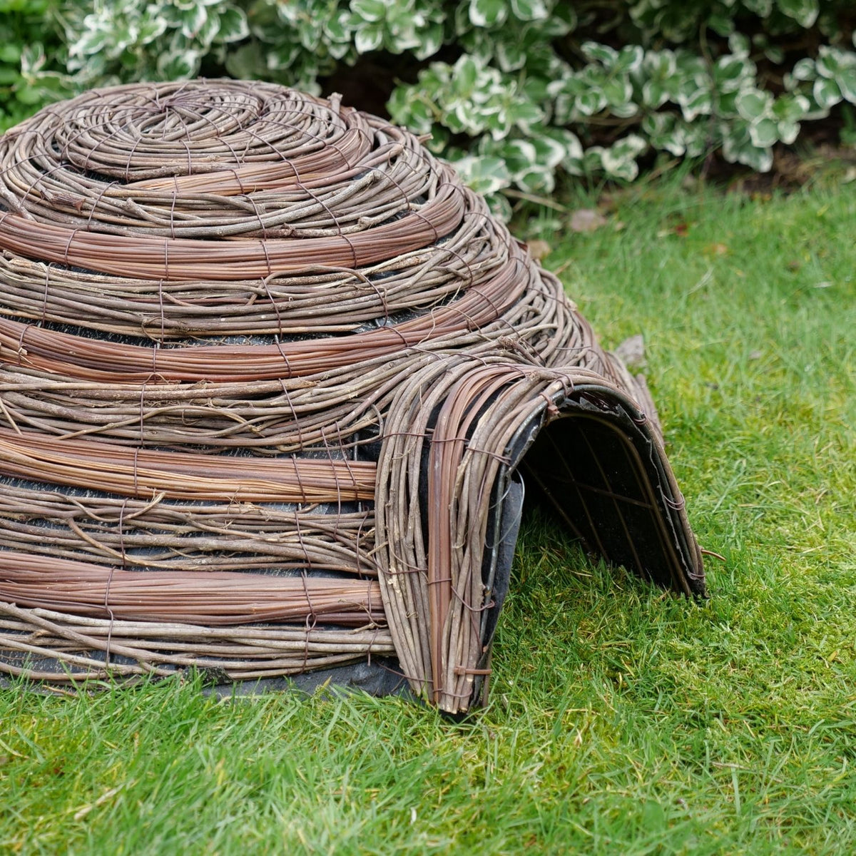 Hedgehog Dome Home | The Wildlife Community