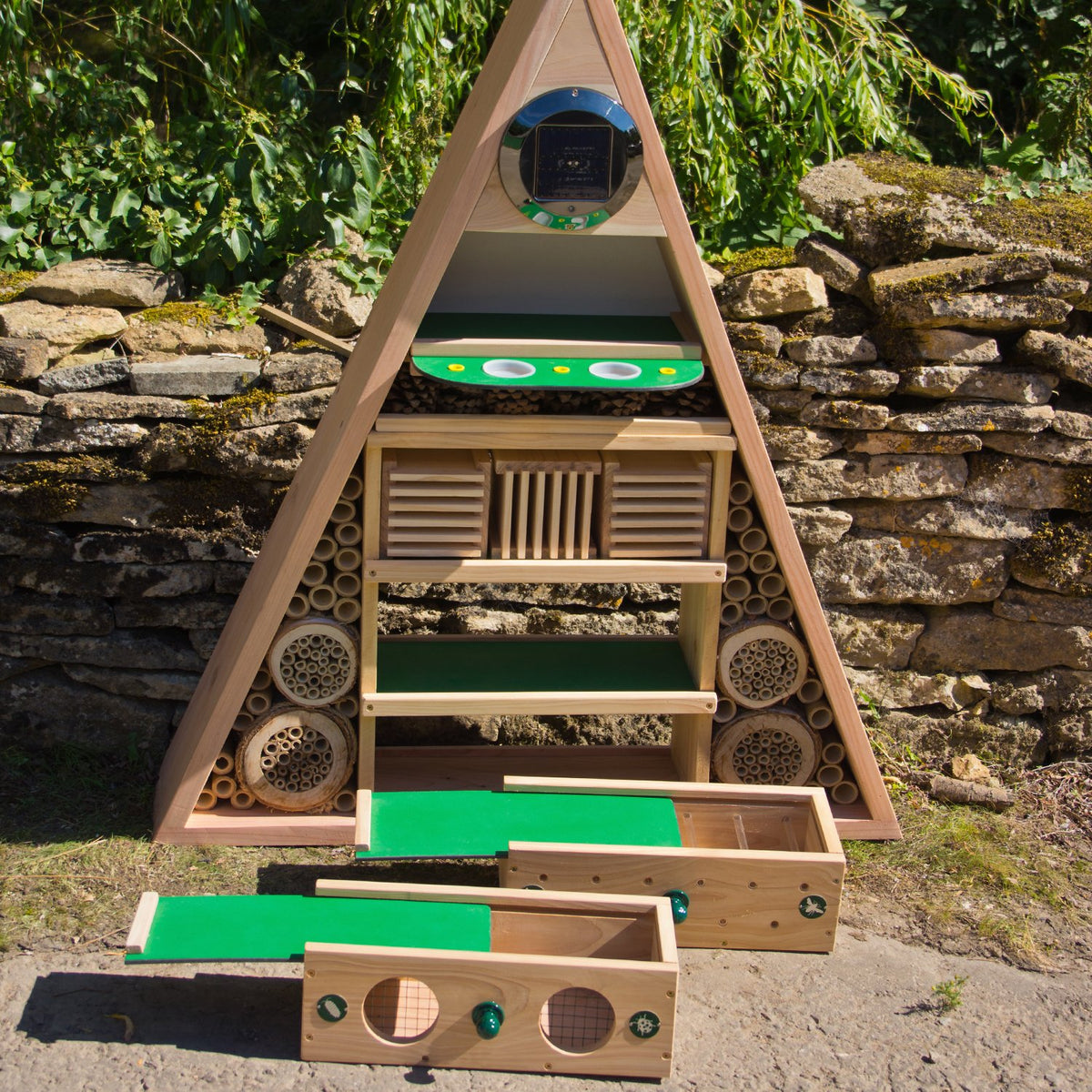 Educational Pyramid Insect Habitat | The Wildlife Community