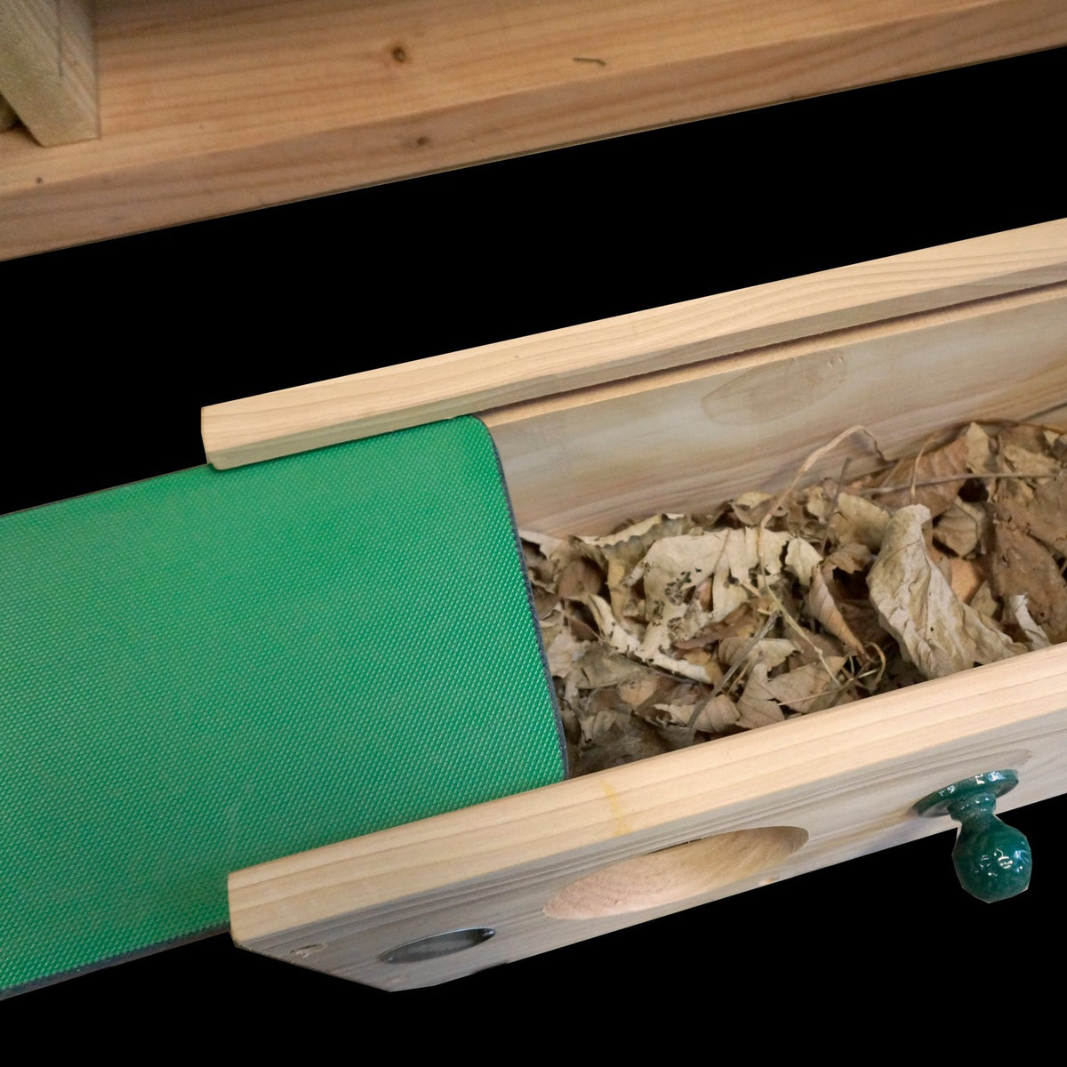 Educational Pyramid Insect Habitat | The Wildlife Community