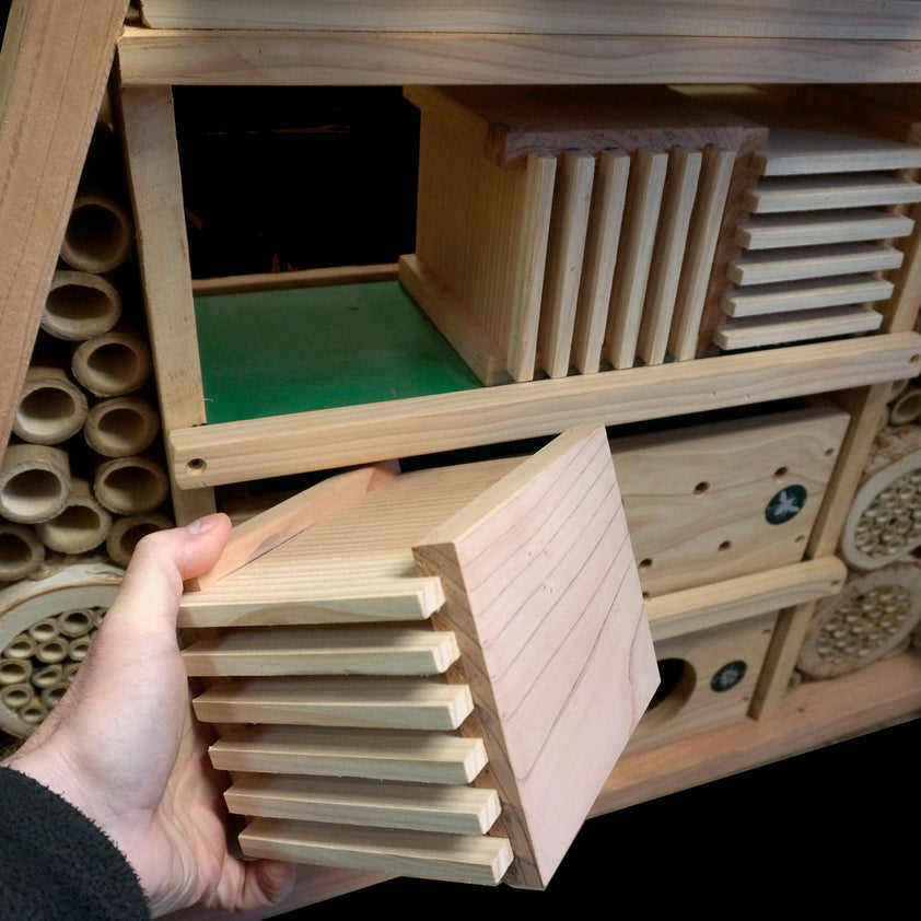 Educational Pyramid Insect Habitat | The Wildlife Community