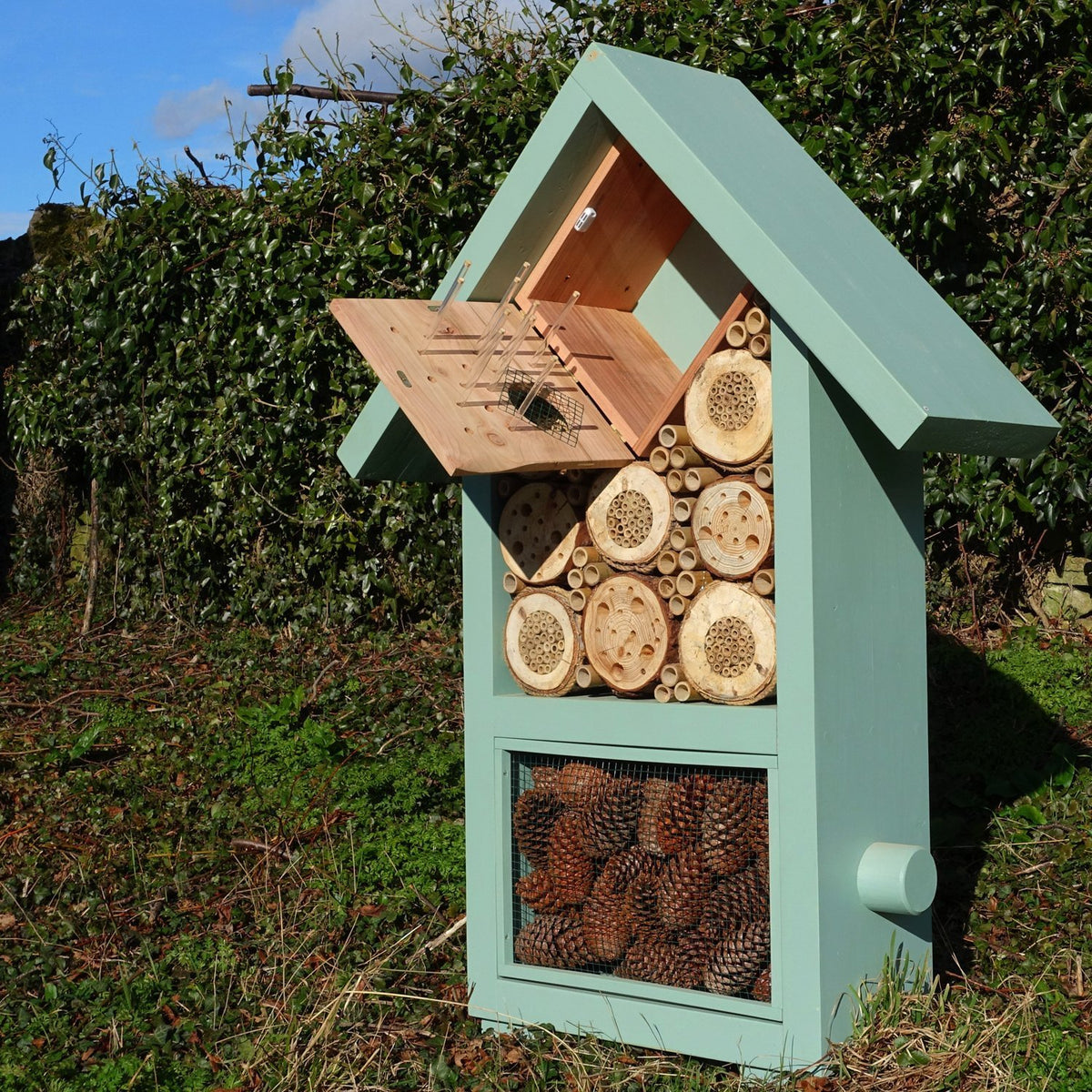 Giant Bee & Bug Biome | The Wildlife Community