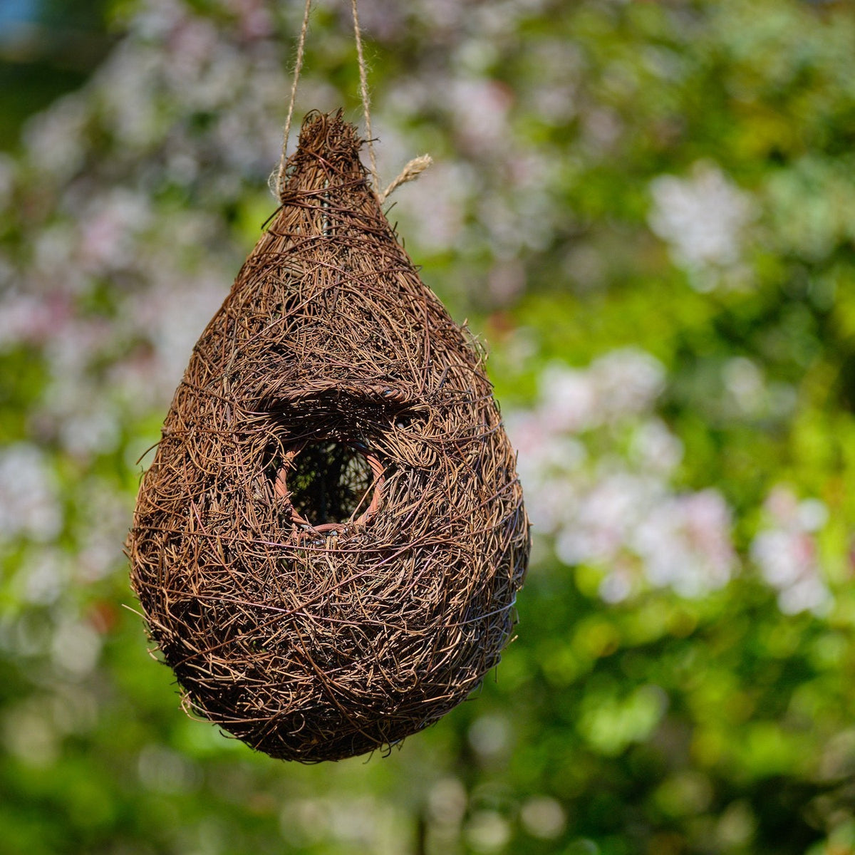Giant Roost Nest Pocket | The Wildlife Community