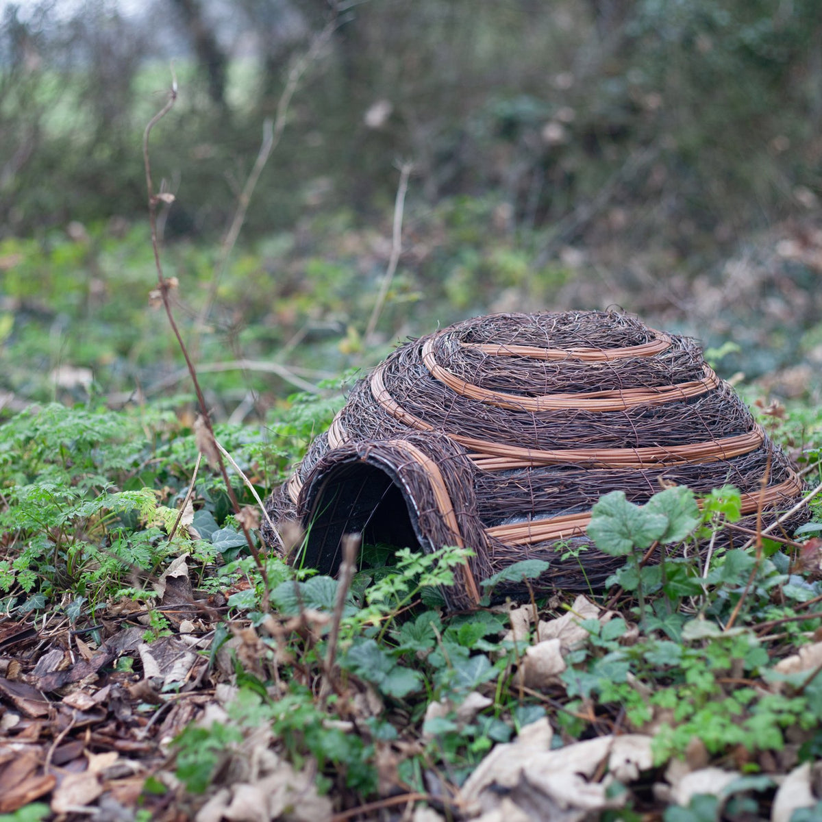 Igloo Hedgehog Home | The Wildlife Community