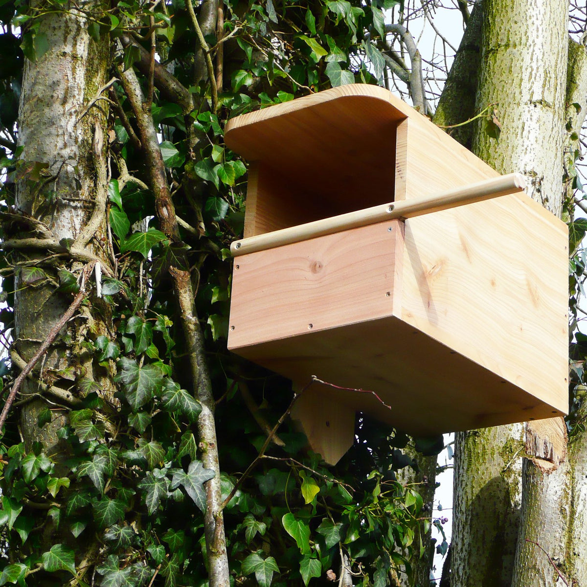Kestrel Box | The Wildlife Community