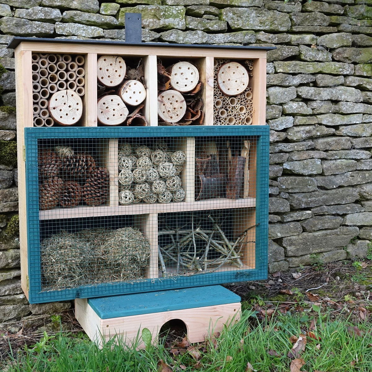 Minibeast HQ | The Wildlife Community