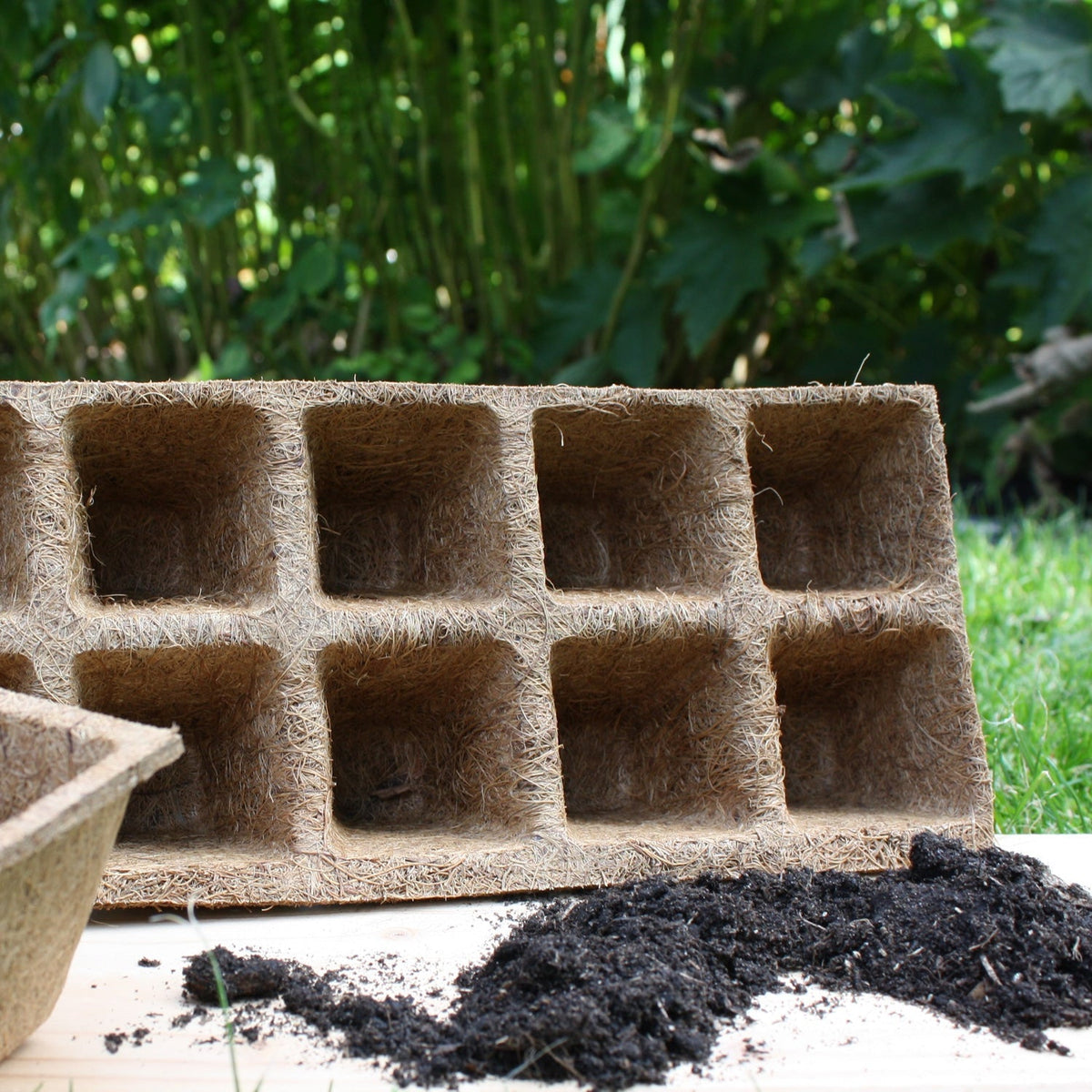 Rubberised Certified Organic Coir Tray of 12 Seedling Pots Square