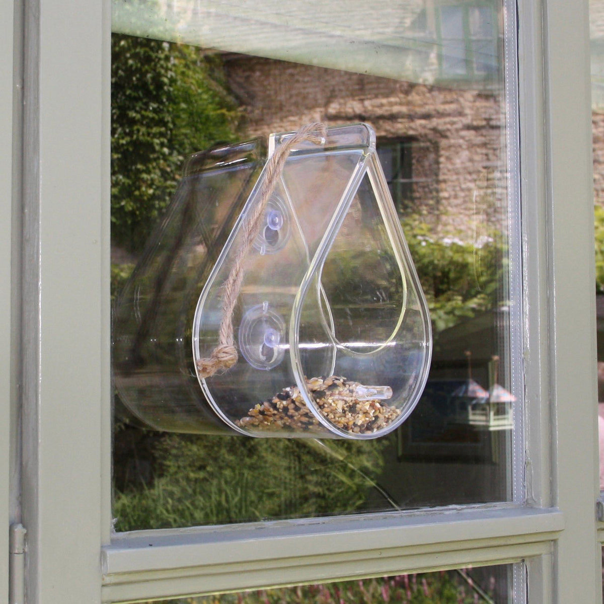 Dewdrop Window Bird Feeder | The Wildlife Community