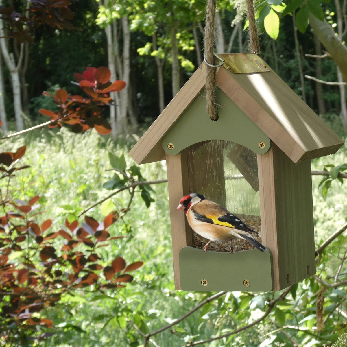Bird Barn - Bird Feeder | The Wildlife Community