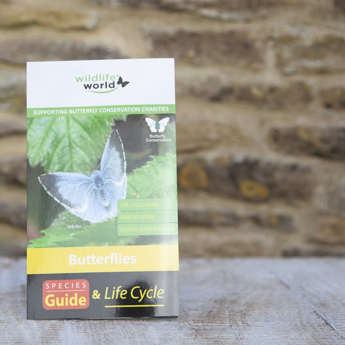 UK Butterflies Guide | The Wildlife Community